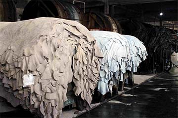 Royal Leather Industries Ltd.